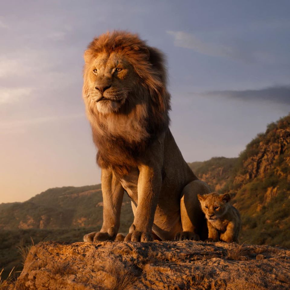 Lion King – SIMPSON STUDIO PODCAST